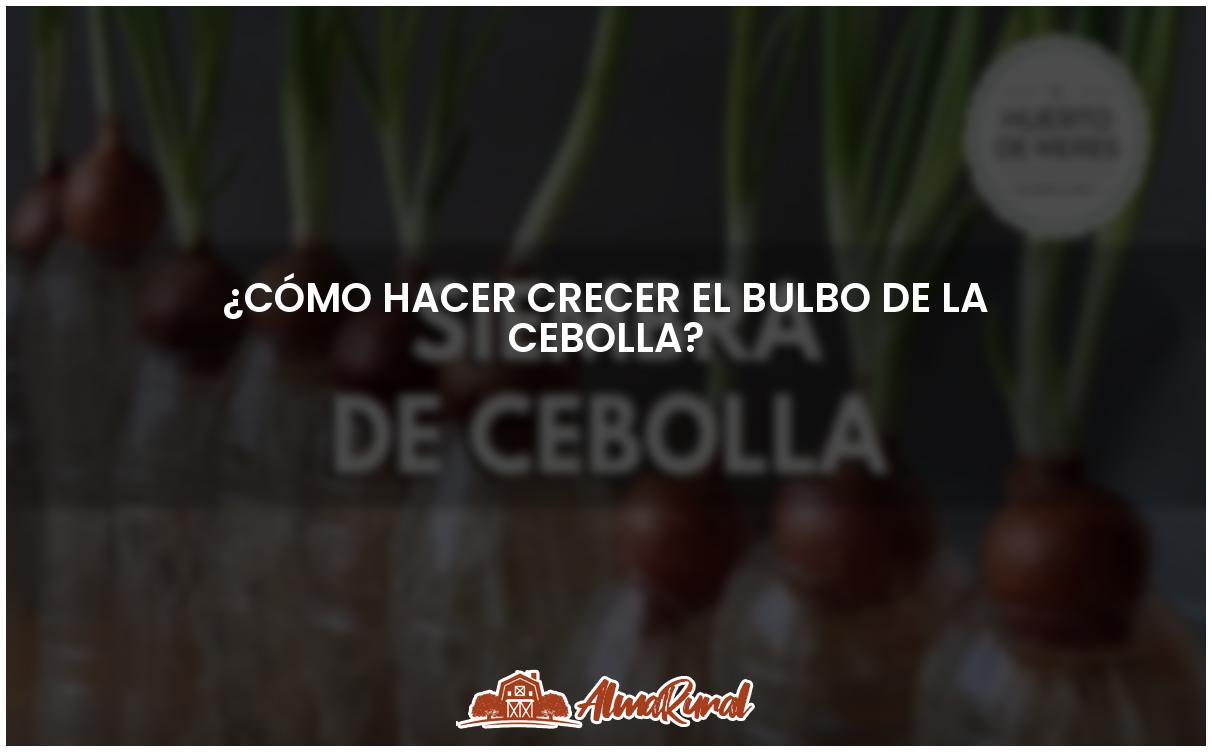 Guía para aumentar el tamaño del bulbo de la cebolla | ALMARURAL
