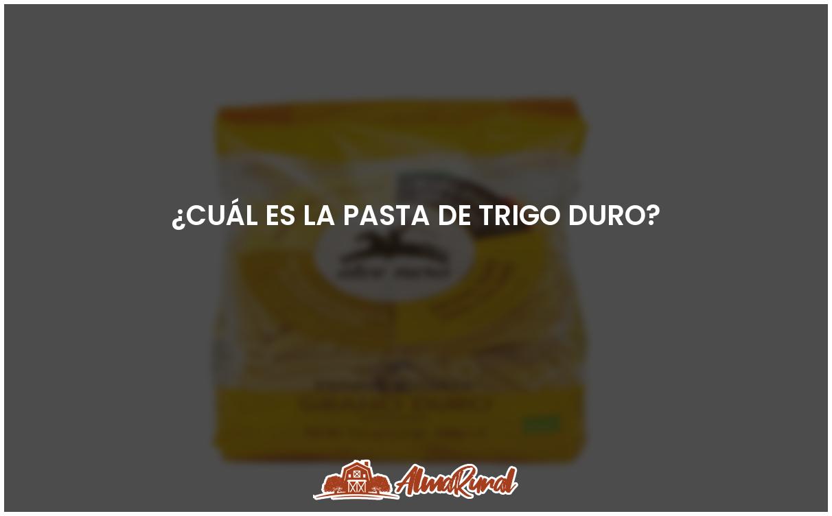 Pasta de trigo duro: Todo lo que debes saber. | ALMARURAL