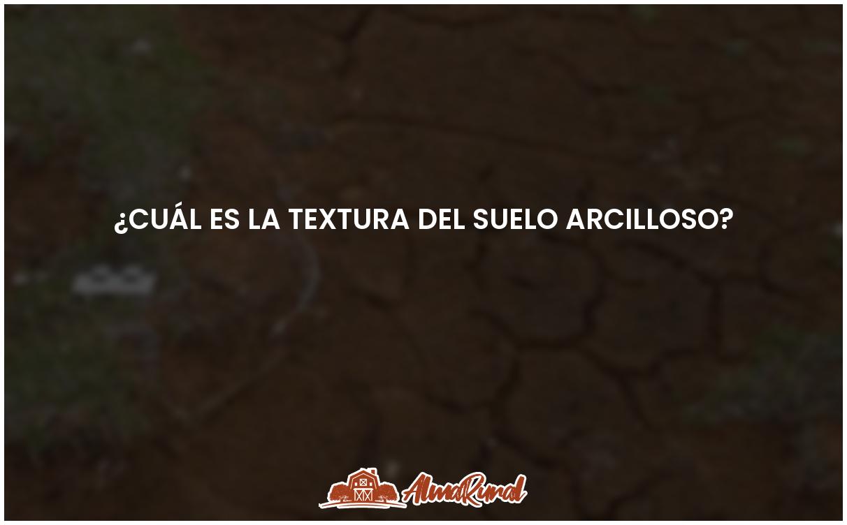 La sorprendente textura del suelo arcilloso | ALMARURAL