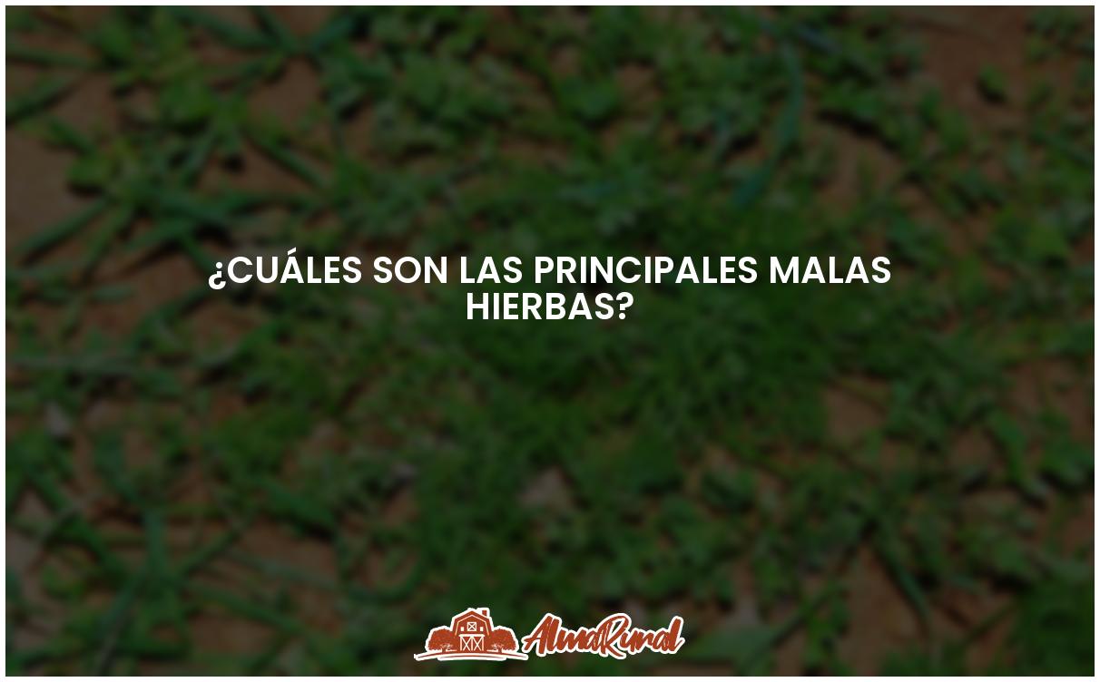 Identificando las malas hierbas más comunes | ALMARURAL