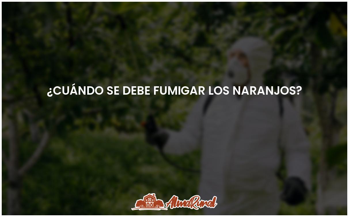 Mejor momento para fumigar los naranjos. | ALMARURAL