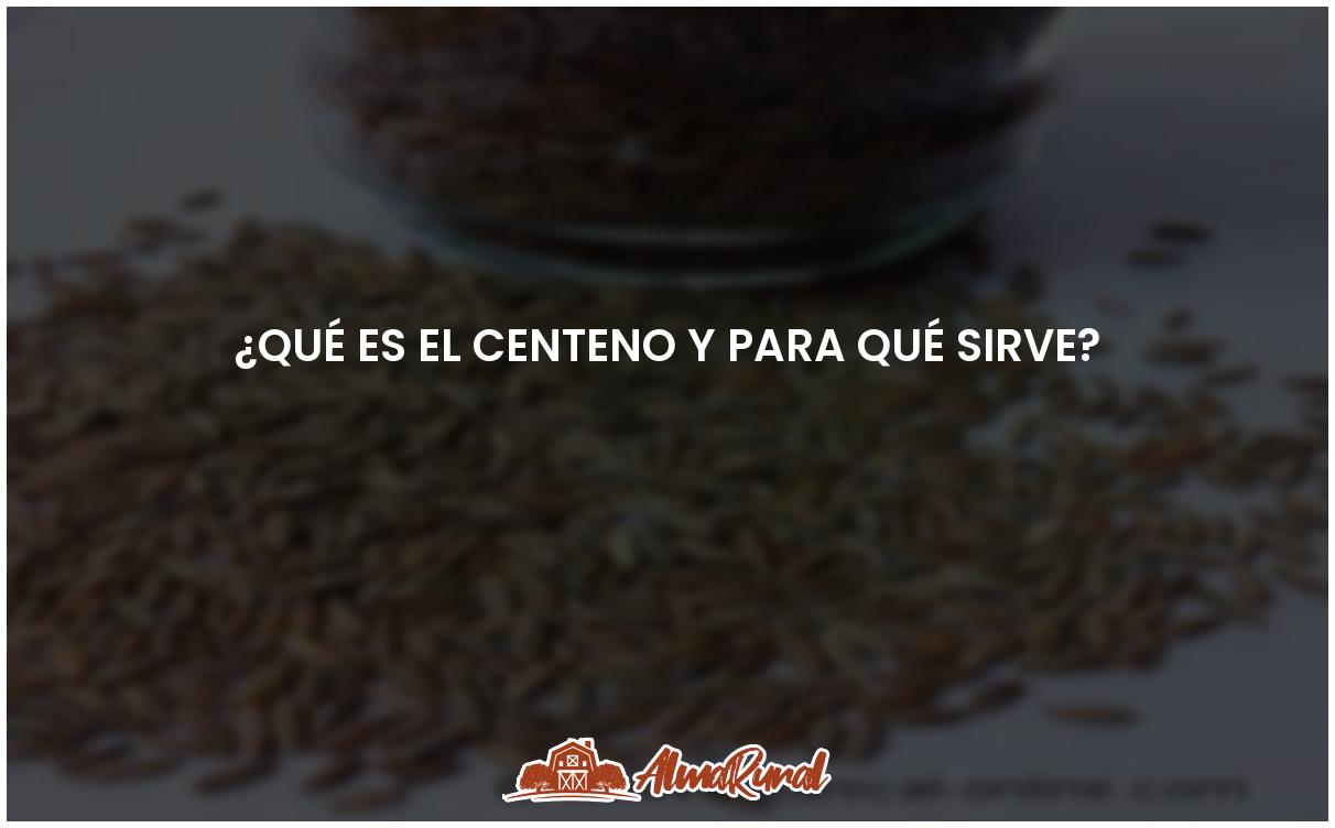 Beneficios del centeno: Todo lo que debes saber | ALMARURAL