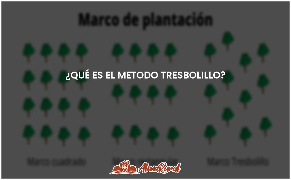 El método Tresbolillo: la clave para el aprendizaje eficiente | ALMARURAL