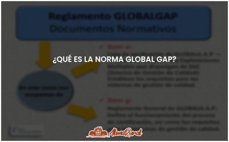 Norma Global Gap: todo lo que debes saber | ALMARURAL