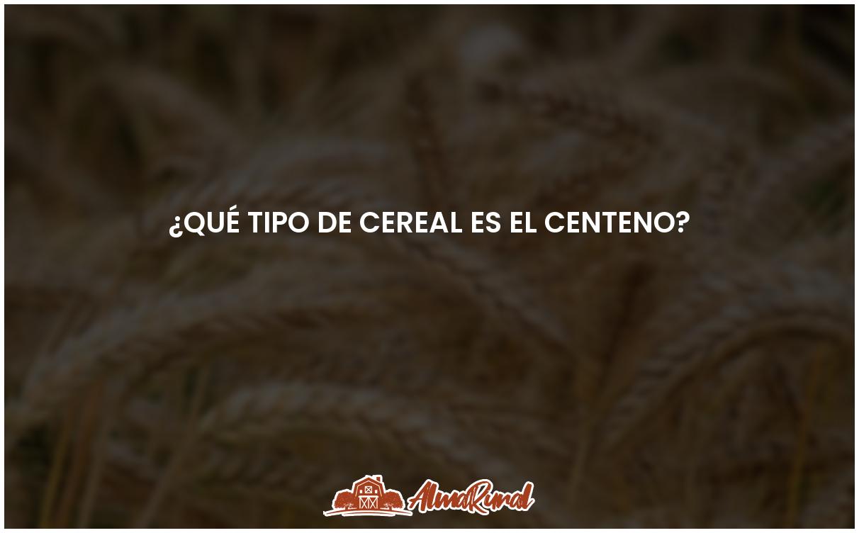 Centeno: El cereal más saludable y versátil | ALMARURAL